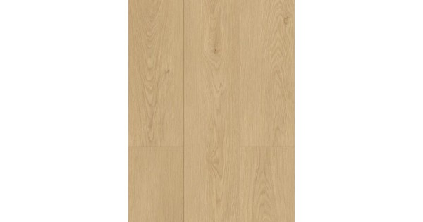 HydroCore Fortune Cookie