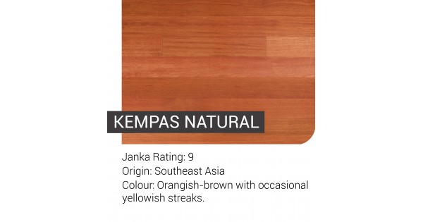 Kempas Natural