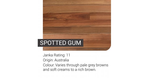 Australian Spotted Gum